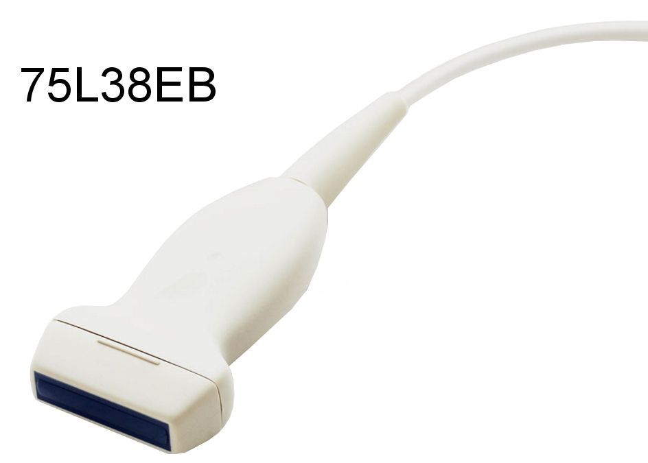 Echographe numérique portable à ultrasons Mindray DP-20