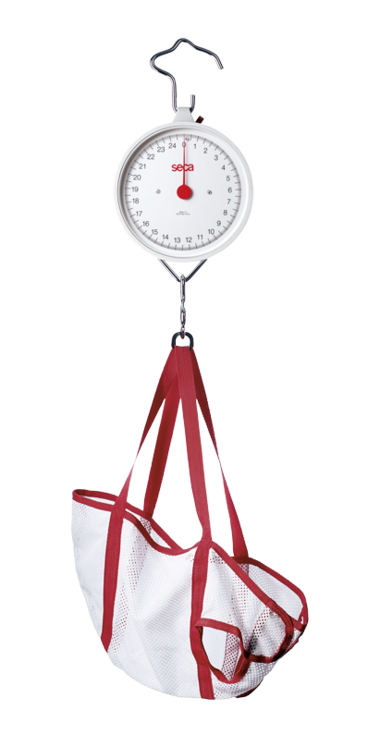 Vente Balance mécanique suspendue Seca 310 à 94,00