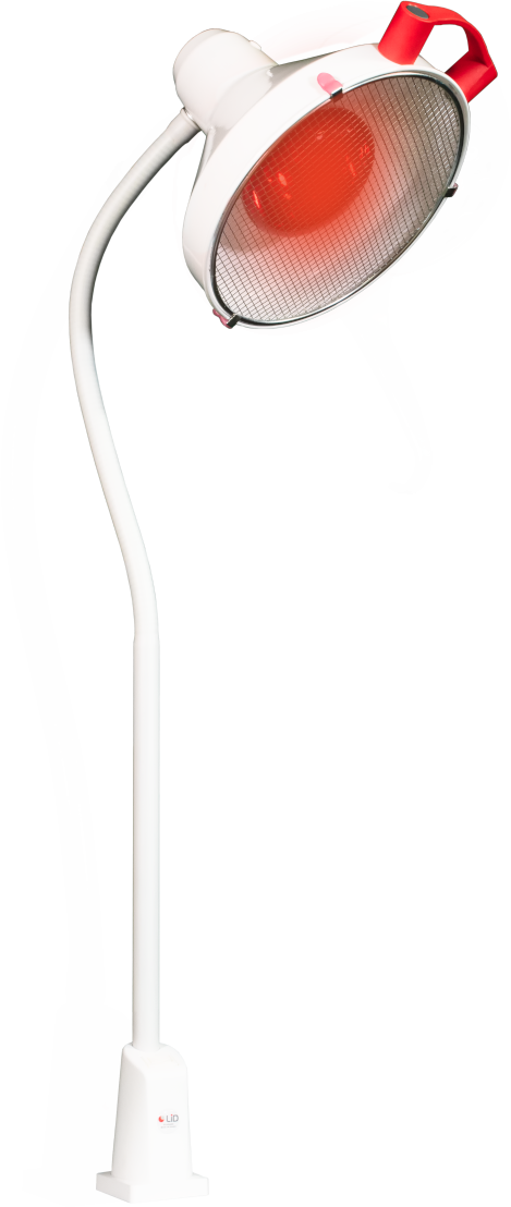 Lampe infrarouge Thera LID