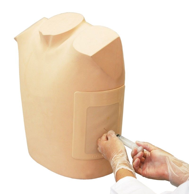 Vente de Simulateur de Thoracentèse Erler Zimmer R16010 à 3 766,80