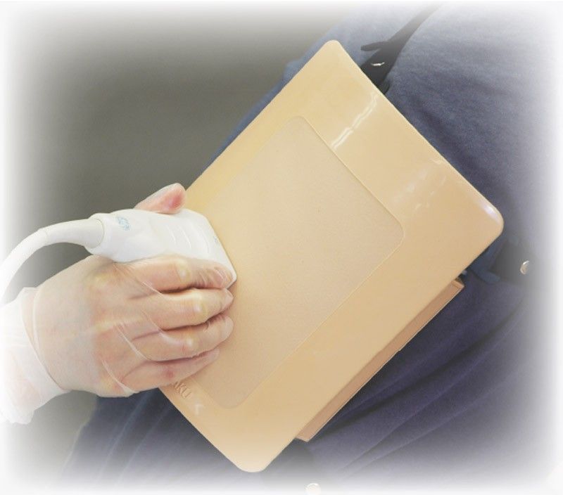 Vente de Simulateur de Thoracentèse Erler Zimmer R16011 à 2 806,80