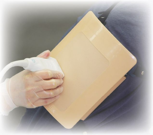 Vente de Simulateur de Thoracentèse Erler Zimmer R16011 à 2 806,80