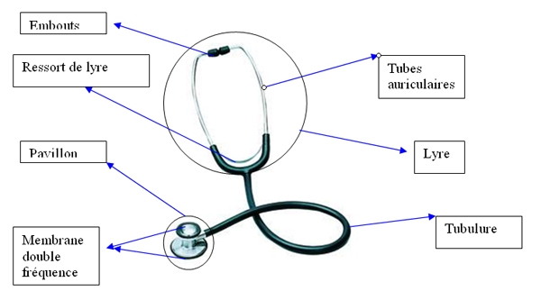 Comment bien choisir son stéthoscope