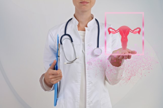 Le Gynécologue Obstétricien Tout Savoir Sur Ses Fonctions